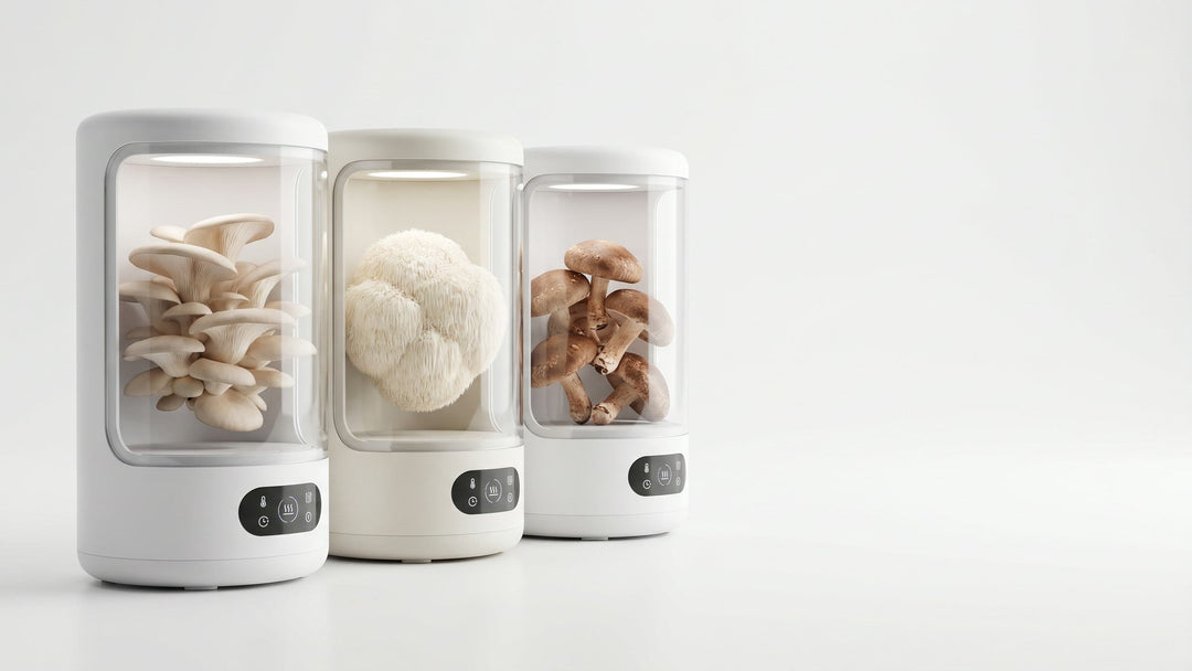 How to Grow Shrooms at Home: Complete Beginner's Guide 2025