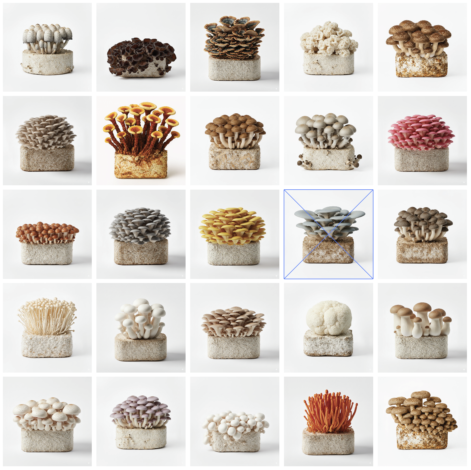 Choosing the Right Plants for Indoors: Mushroom Selection Guide
